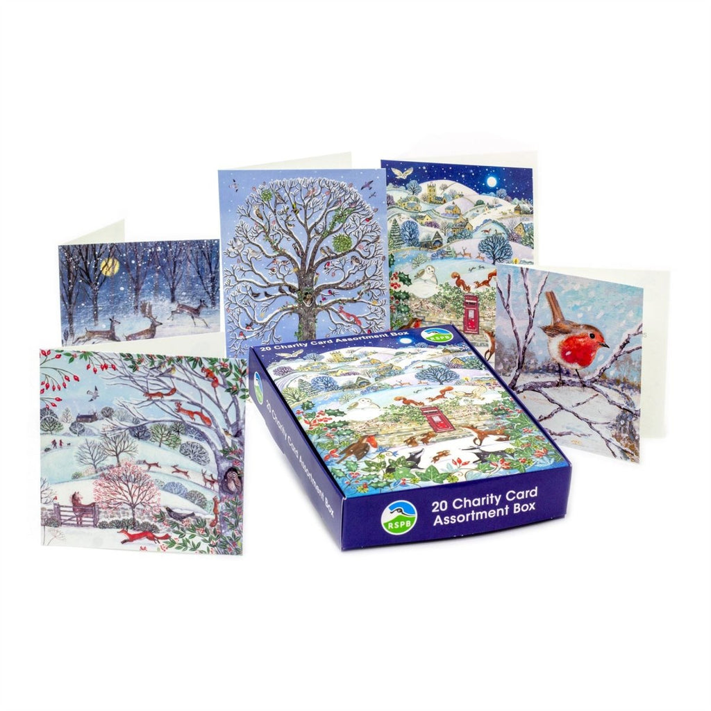 Pack Of 20 RSPB Charity Christmas Cards | Box of 20 Wildlife Christmas – Carousel