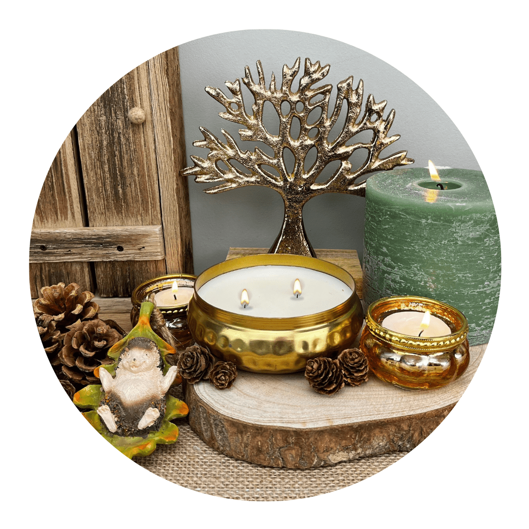 HOME ACCESSORIES | Stylish & Affordable Accents & Home Decor – Carousel