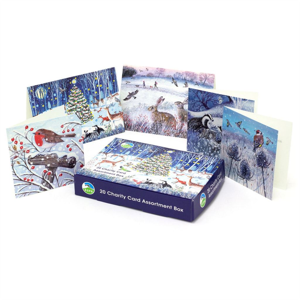 Pack of 20 RSPB Charity Christmas Greeting Cards | Winter Wildlife Des ...