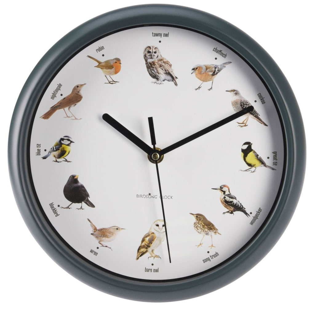 Birdsong Wall Clock with 12 Bird Designs and Hourly Chirps | Bird Cloc ...